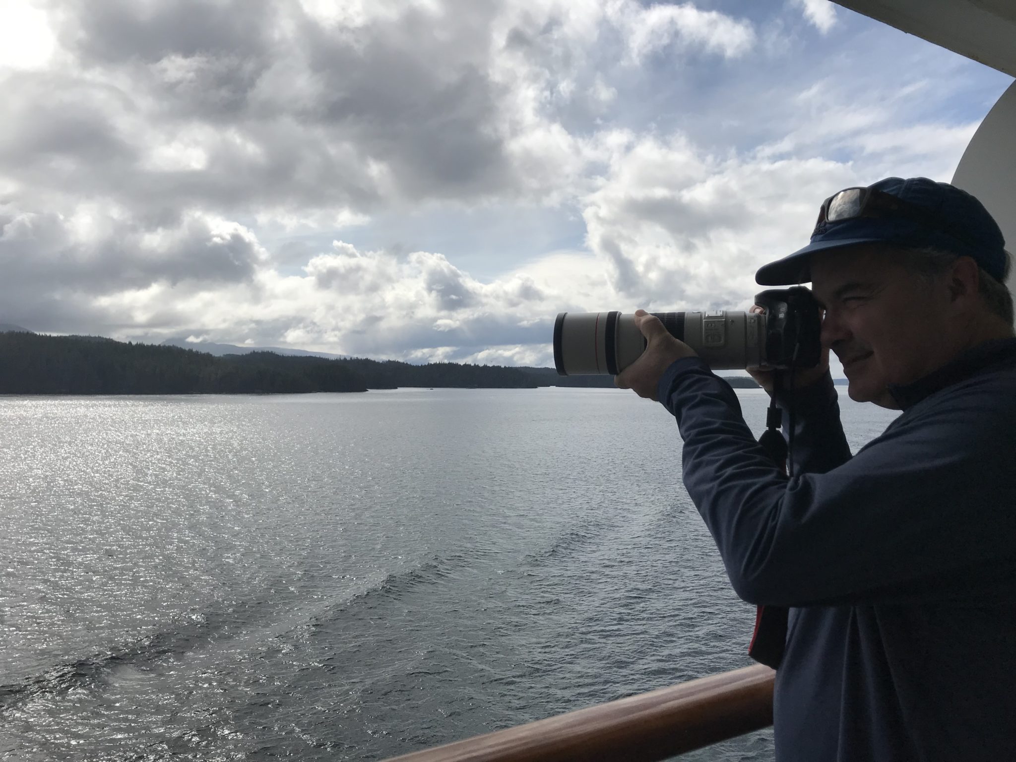 Beeks on Beaks – All About The Birds