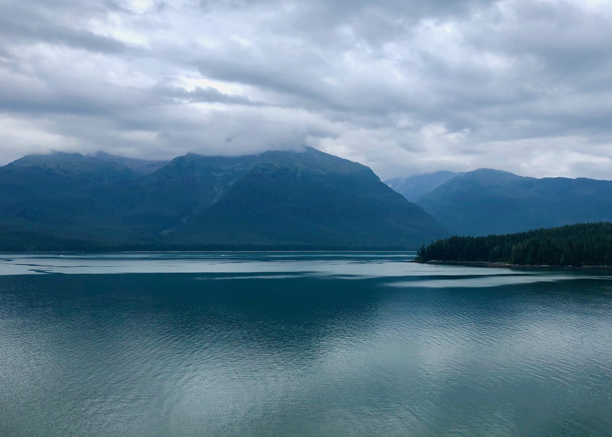 Beeks on Beaks – All About The Birds