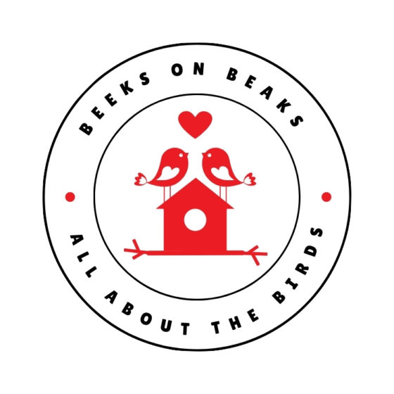 Beeks on Beaks – All About The Birds